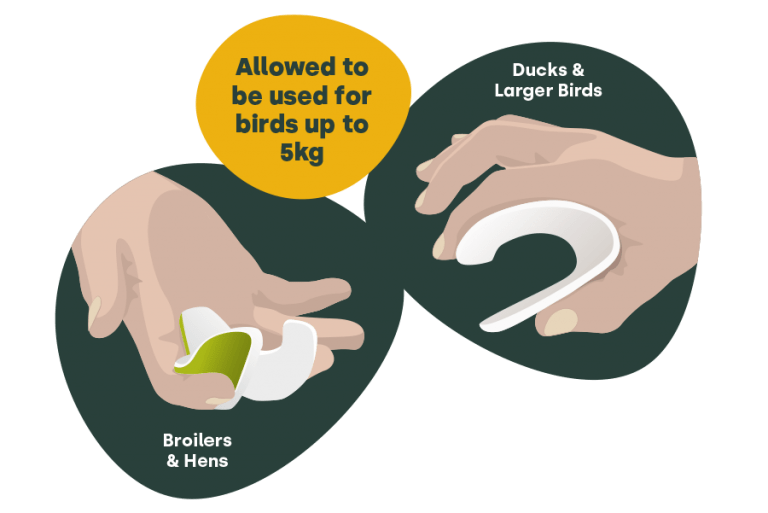 NEX | Humane Poultry - Chicken - Broiler Despatcher | Livetec