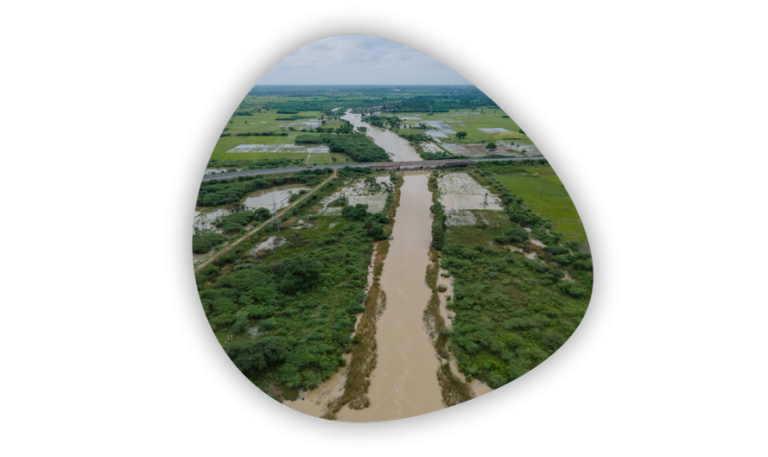 Emergency poultry depopulation for flooding - Livetec