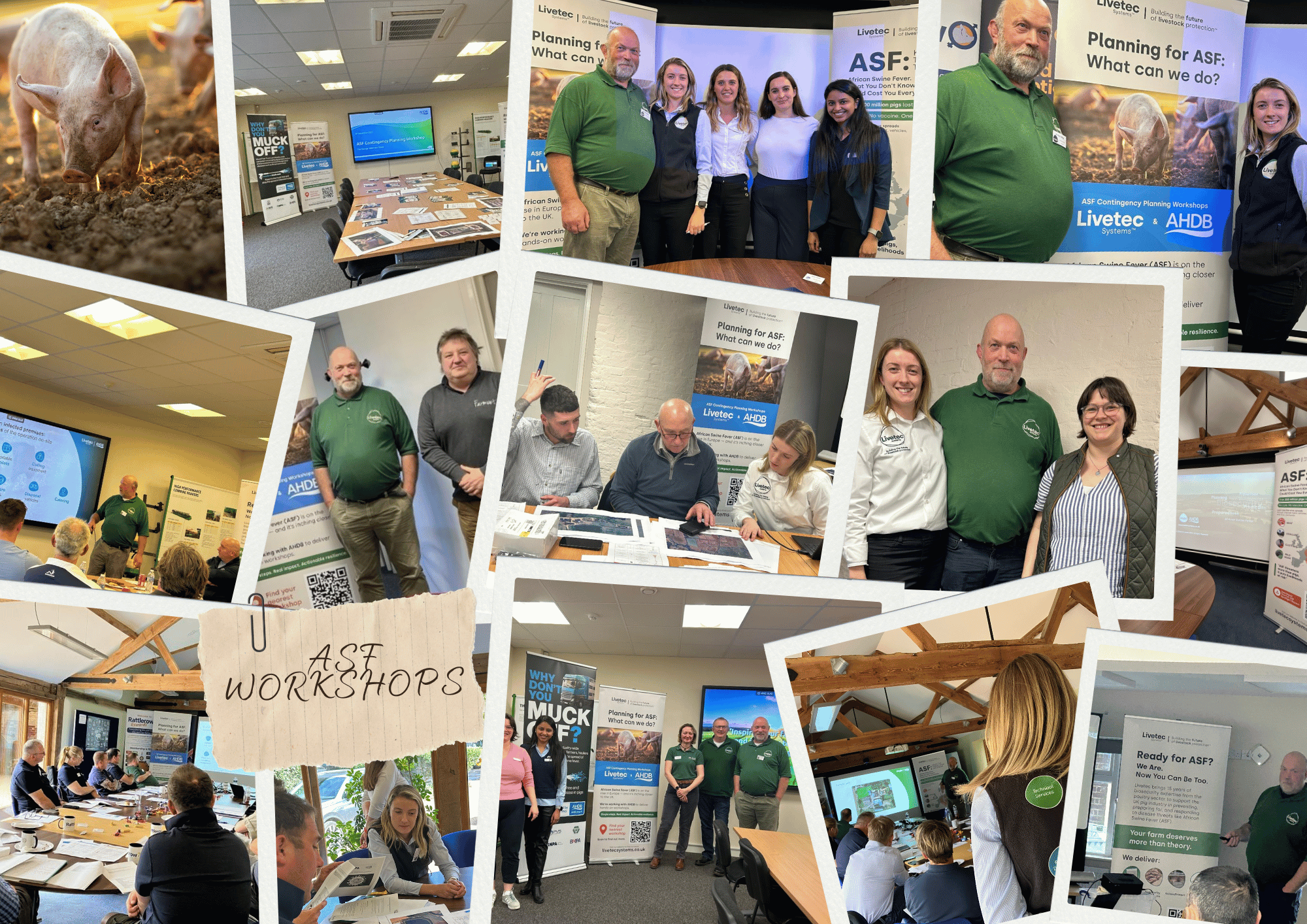 Practical Lessons from the Latest ASF Workshop at Peddars Pigs - Livetec